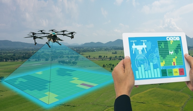 식물 성장을 평가하는 기술 개발과 화상 센싱 기술 활용